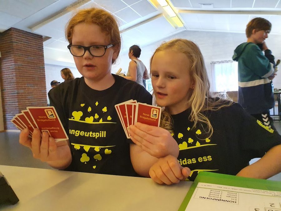 Norsk Skolebridge : Juniorbridge
